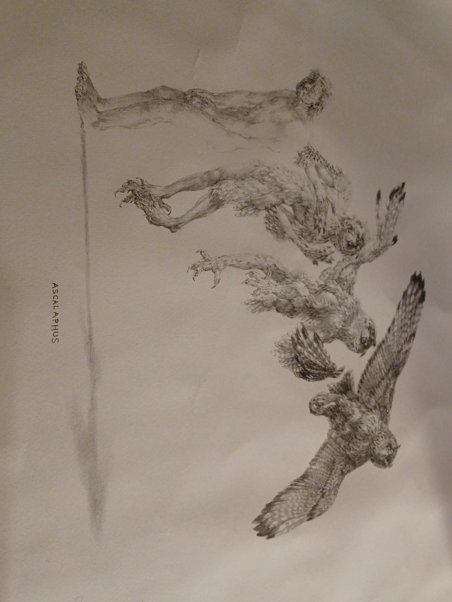 Peter Vos - Ascalaphus Verkocht | Kunstveiling.nl